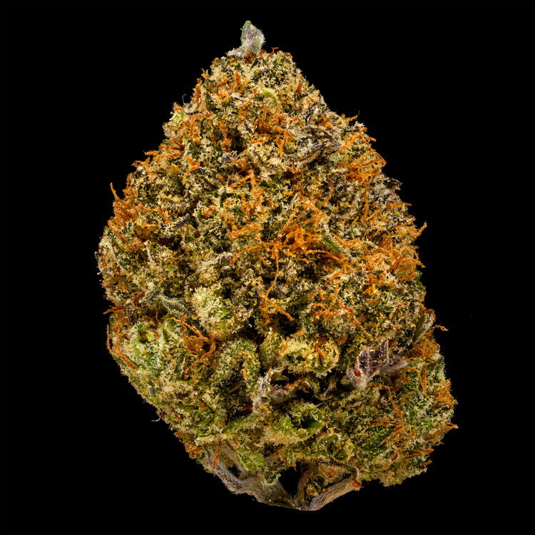 Green Crack by Purp Dragon in Georgetown | Buy at The Reef Cannabis